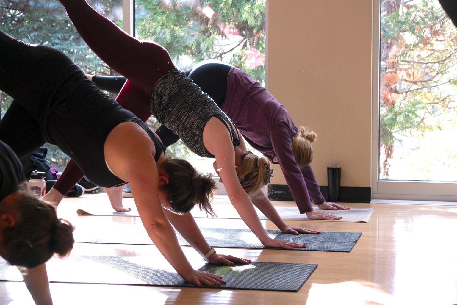 Start Your Fitness Career Now! - Courthouse Club Fitness